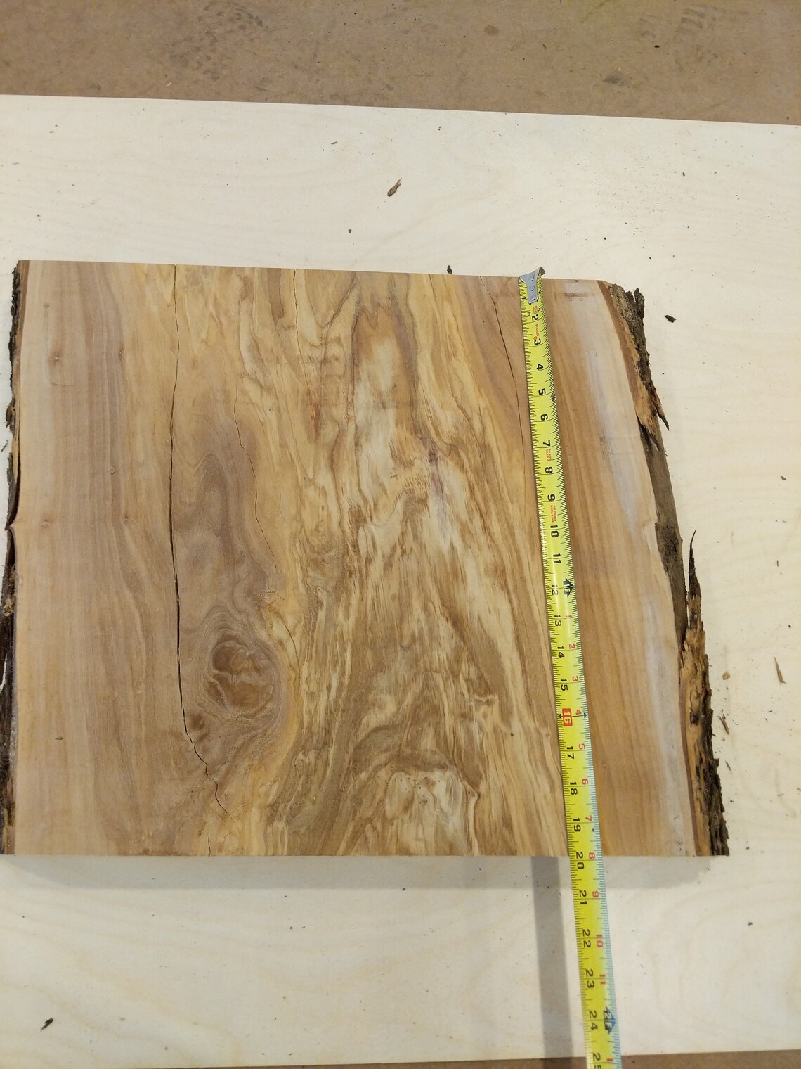 Italian Olive Wood Live Edge Mini Slab 2 THICK Pen - Etsy