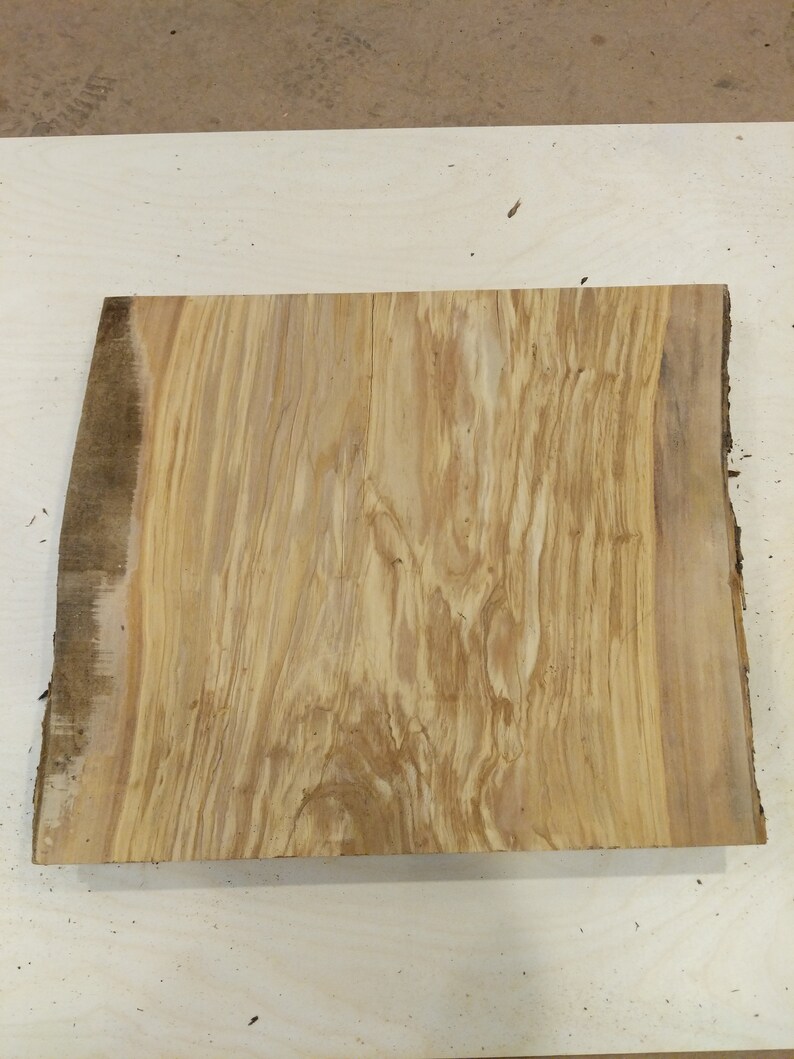 Italian Olive Wood Live Edge Mini Slab 2 THICK Pen - Etsy