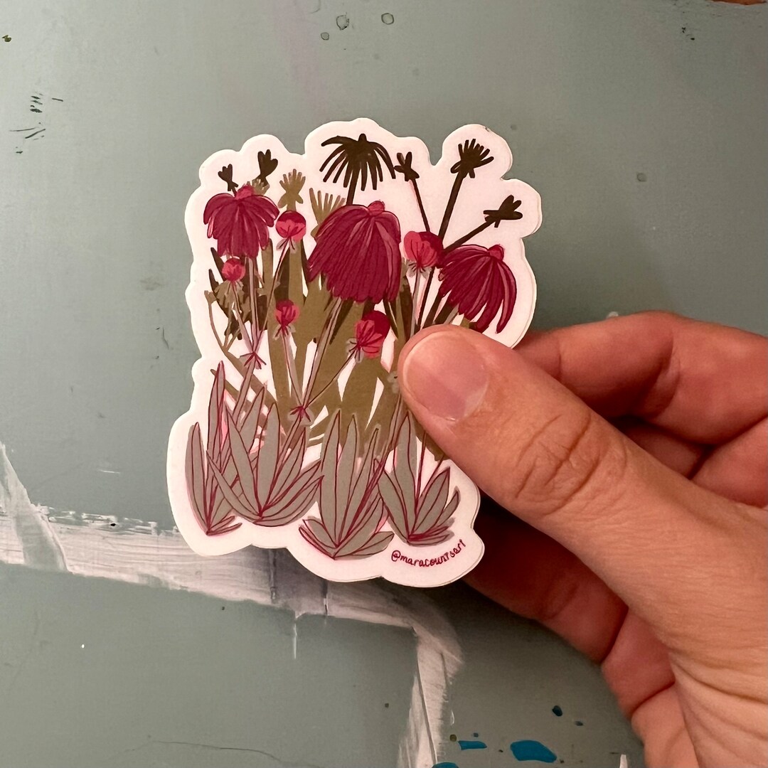 Native Plants Coneflower Sticker, Hand Drawn Artwork by Mara Counts - Etsy