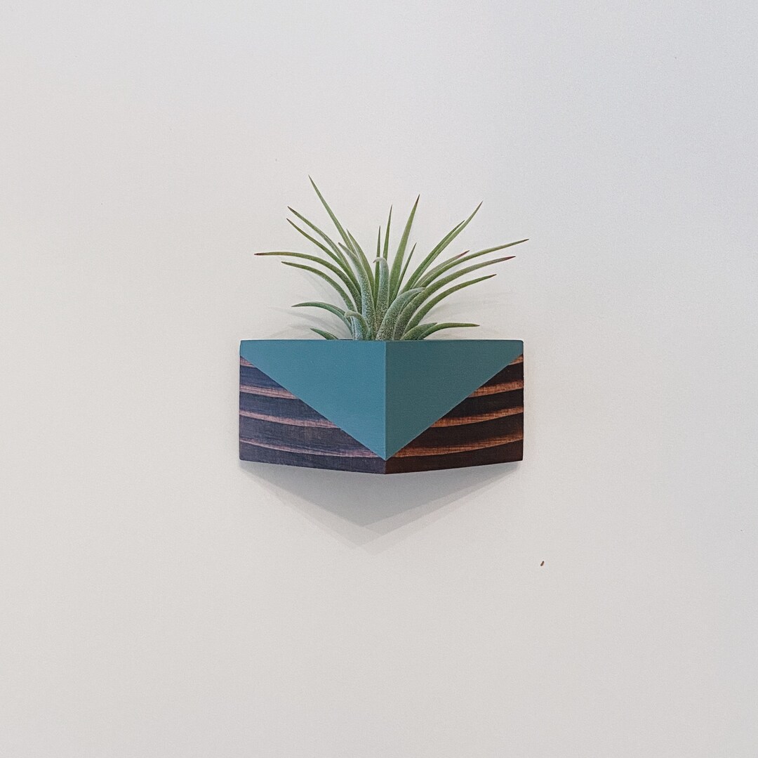 Triangle Magnet W/air Plant - Etsy