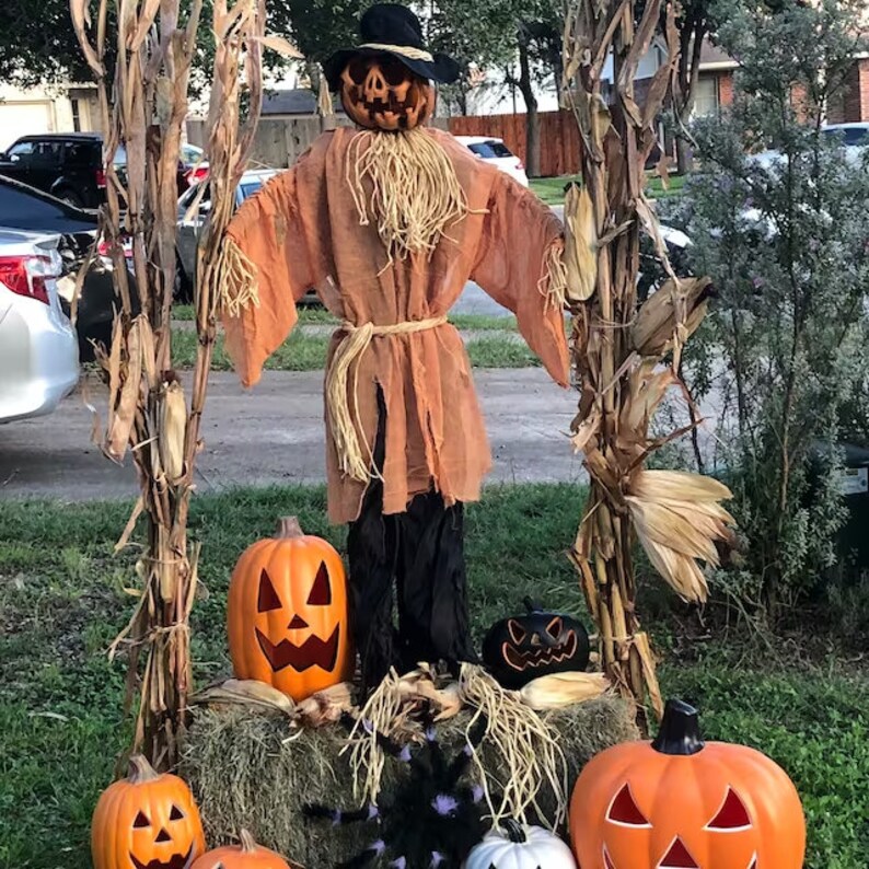 Dried Corn Stalk Bundle Great for Fall Decorating - Etsy