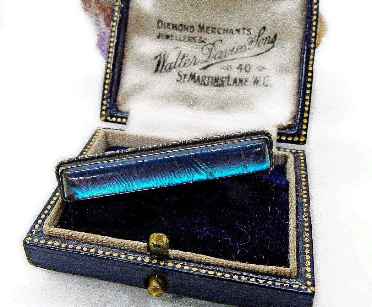 Luminous Thomas Mott of England antique 1920’s Morpho Butterfly Wing ...