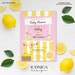 Lemonade Backdrop Lemons Backdrop for Girls Pink Lemonade Backdrop ...