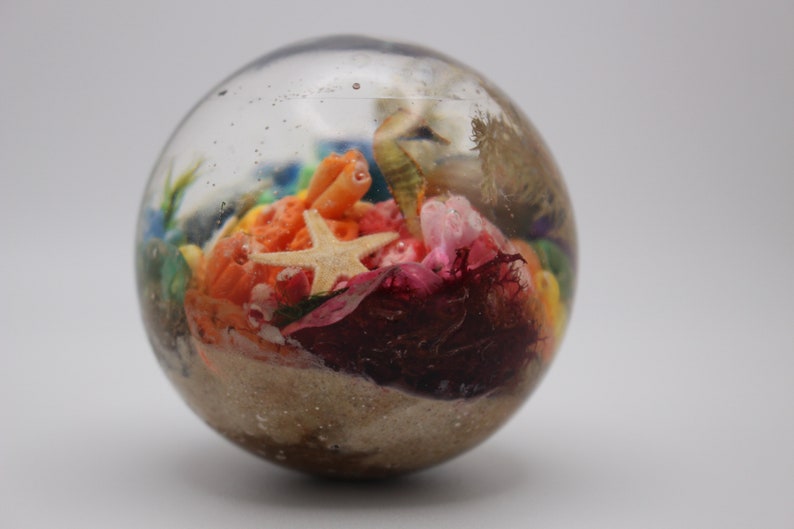 Unique Handmade Coral Ocean/sea Scene Paperweight Gift, Resin ...
