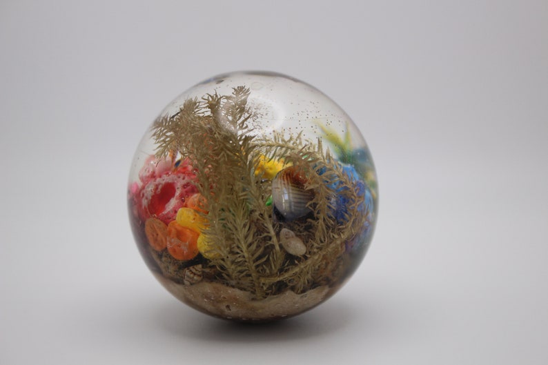 Unique Handmade Coral Ocean/sea Scene Paperweight Gift, Resin ...