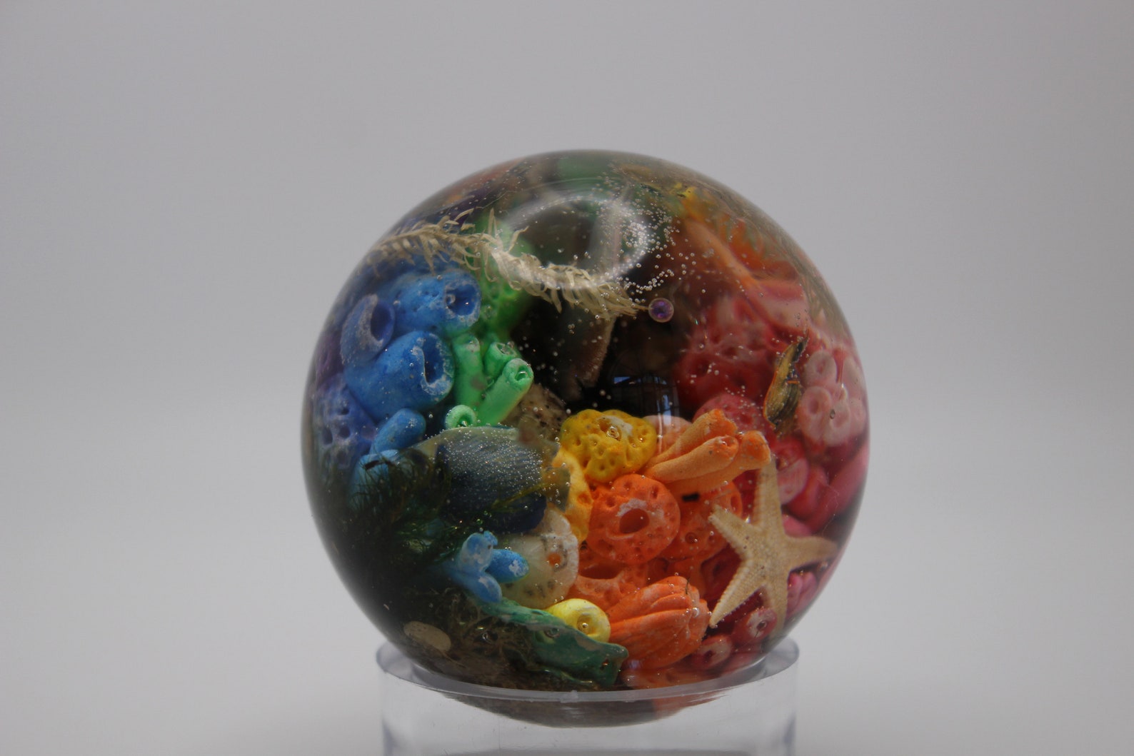 Unique Handmade Coral Ocean/sea Scene Paperweight Gift, Resin ...