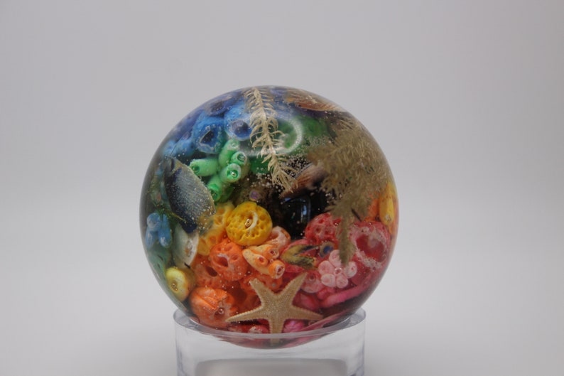 Unique Handmade Coral Ocean/sea Scene Paperweight Gift, Resin ...