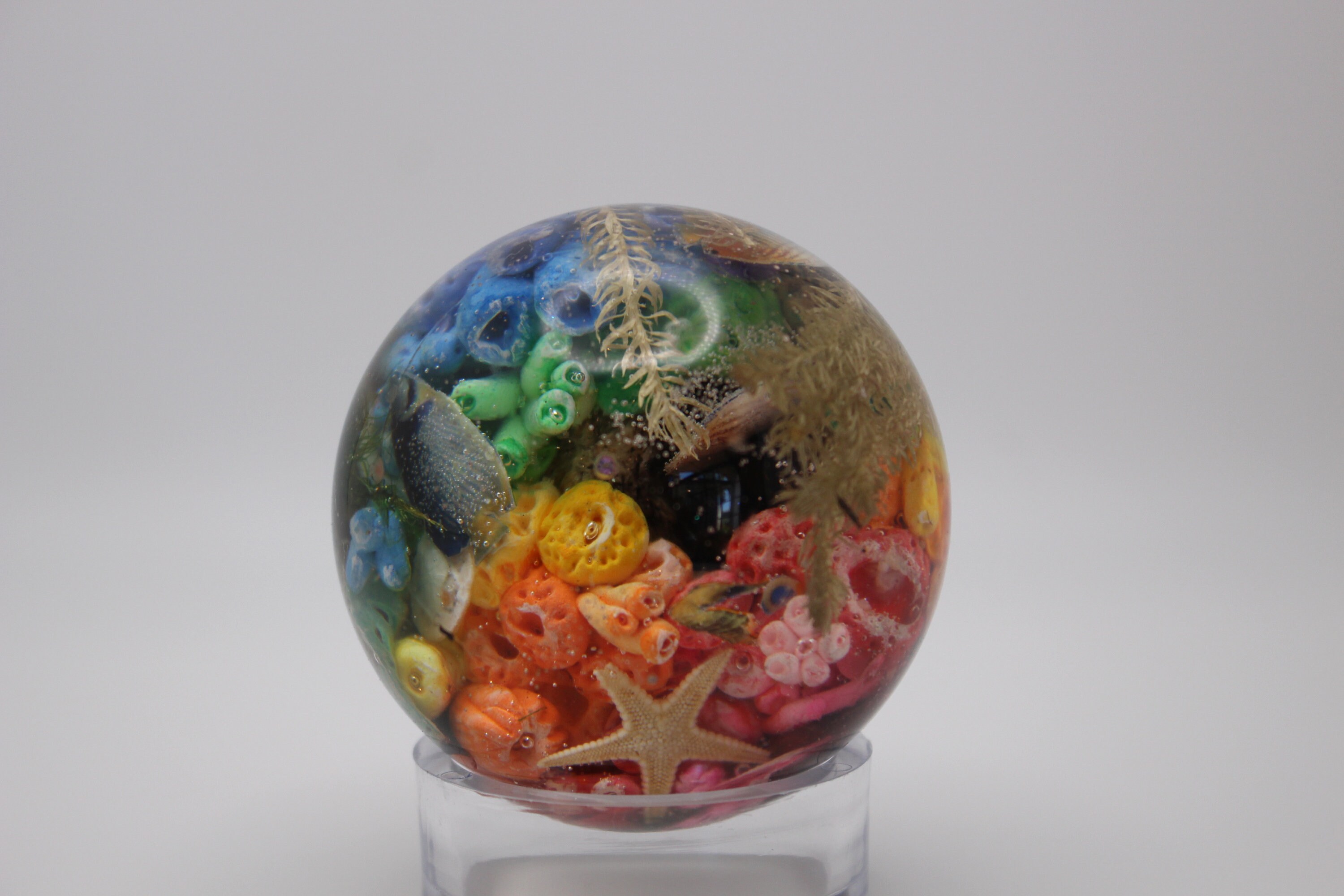 Unique Handmade Coral Ocean/sea Scene Paperweight Gift, Resin ...