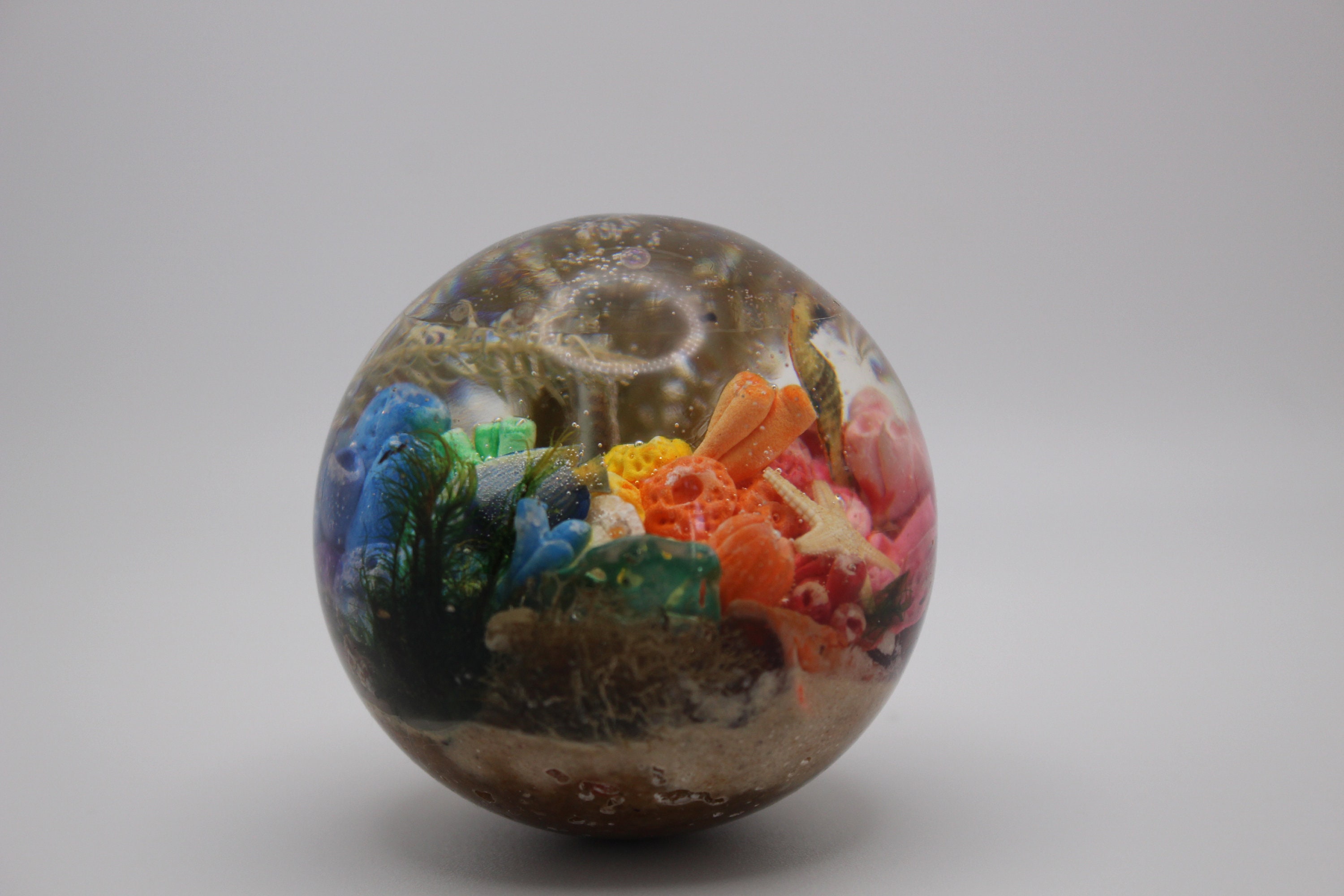 Unique Handmade Coral Ocean/sea Scene Paperweight Gift, Resin ...
