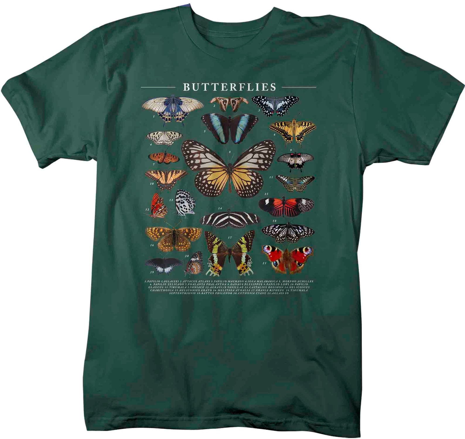 Butterfly Species T-shirt: Illustrated Insect Graphic Tee - Etsy