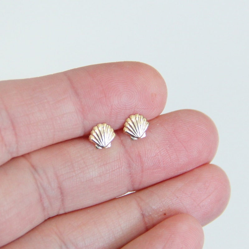 Tiny Seashells - Etsy