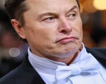 Elon Musk Poster - Etsy