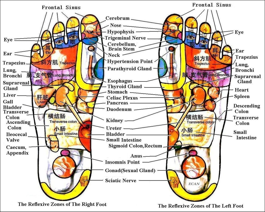 Foot Hand Ear Reflexology Charts Bundle 8 X 10 Digital Download - Etsy
