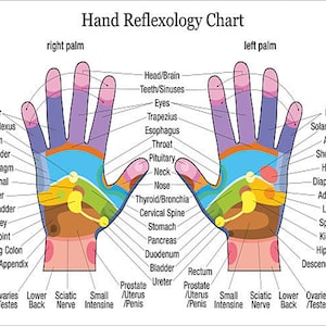 Foot Hand Ear Reflexology Charts Bundle 8 X 10 Digital Download - Etsy