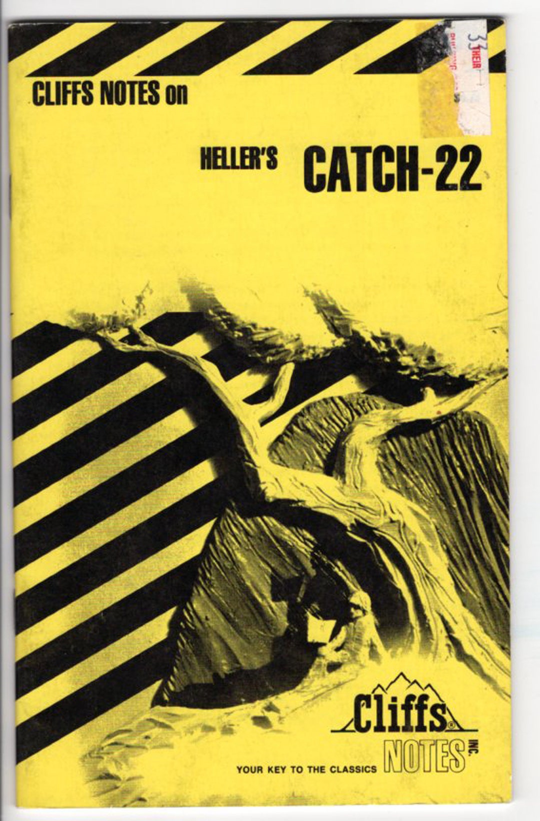 Catch-22 Cliffs Notes 1991 Study Guide - Etsy