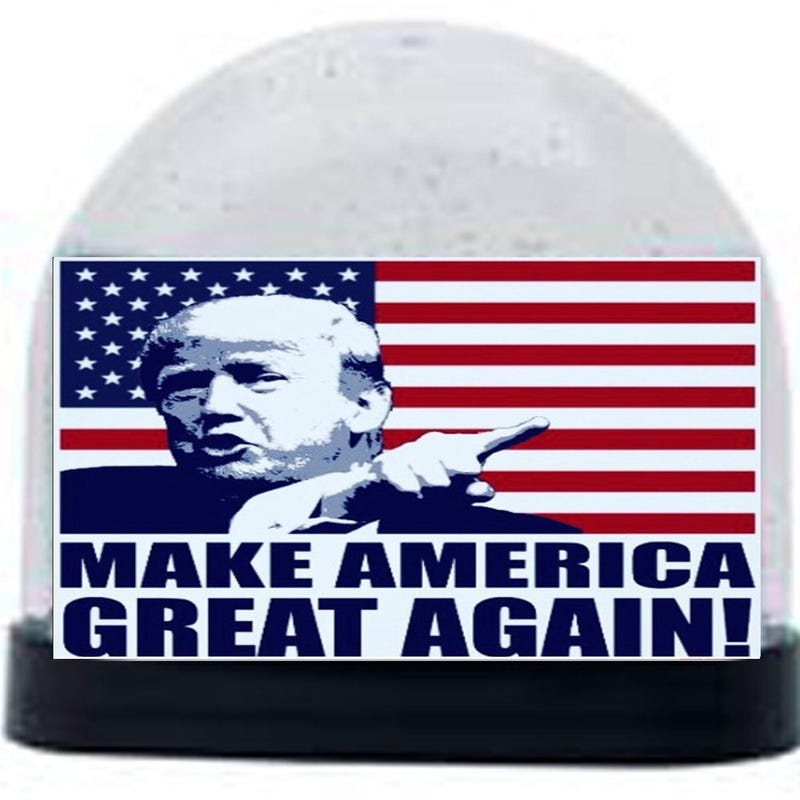 Trump Globe - Etsy