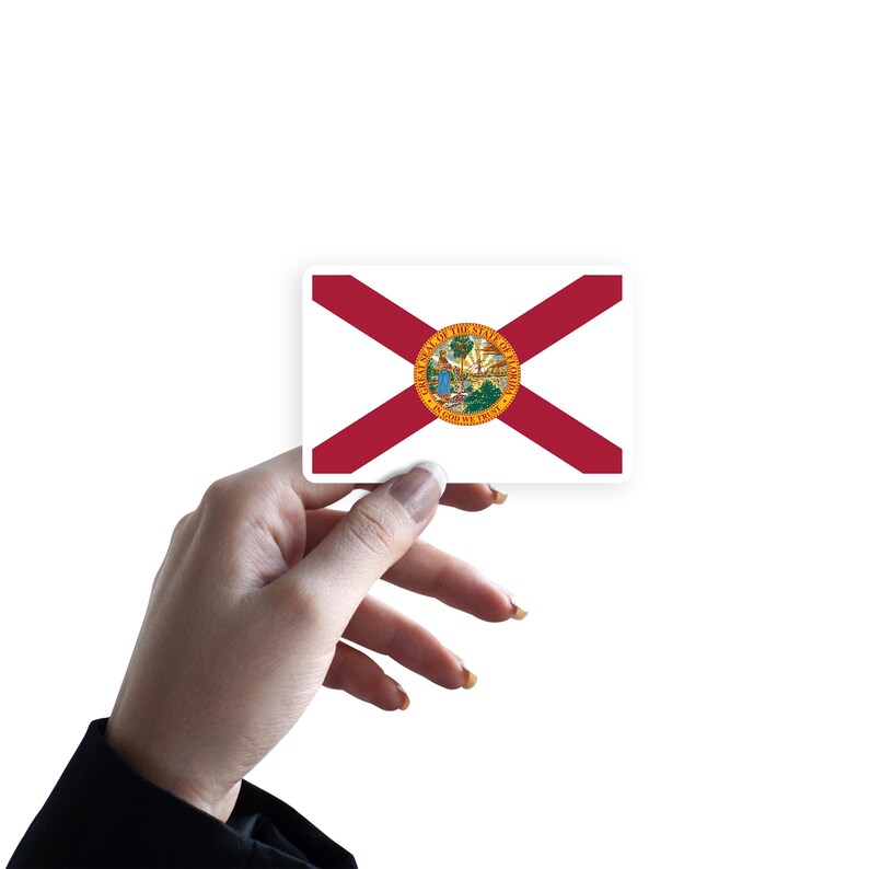 Set of 2 Stickers = Florida Flag: Decal/stickers • Full Color • Double ...