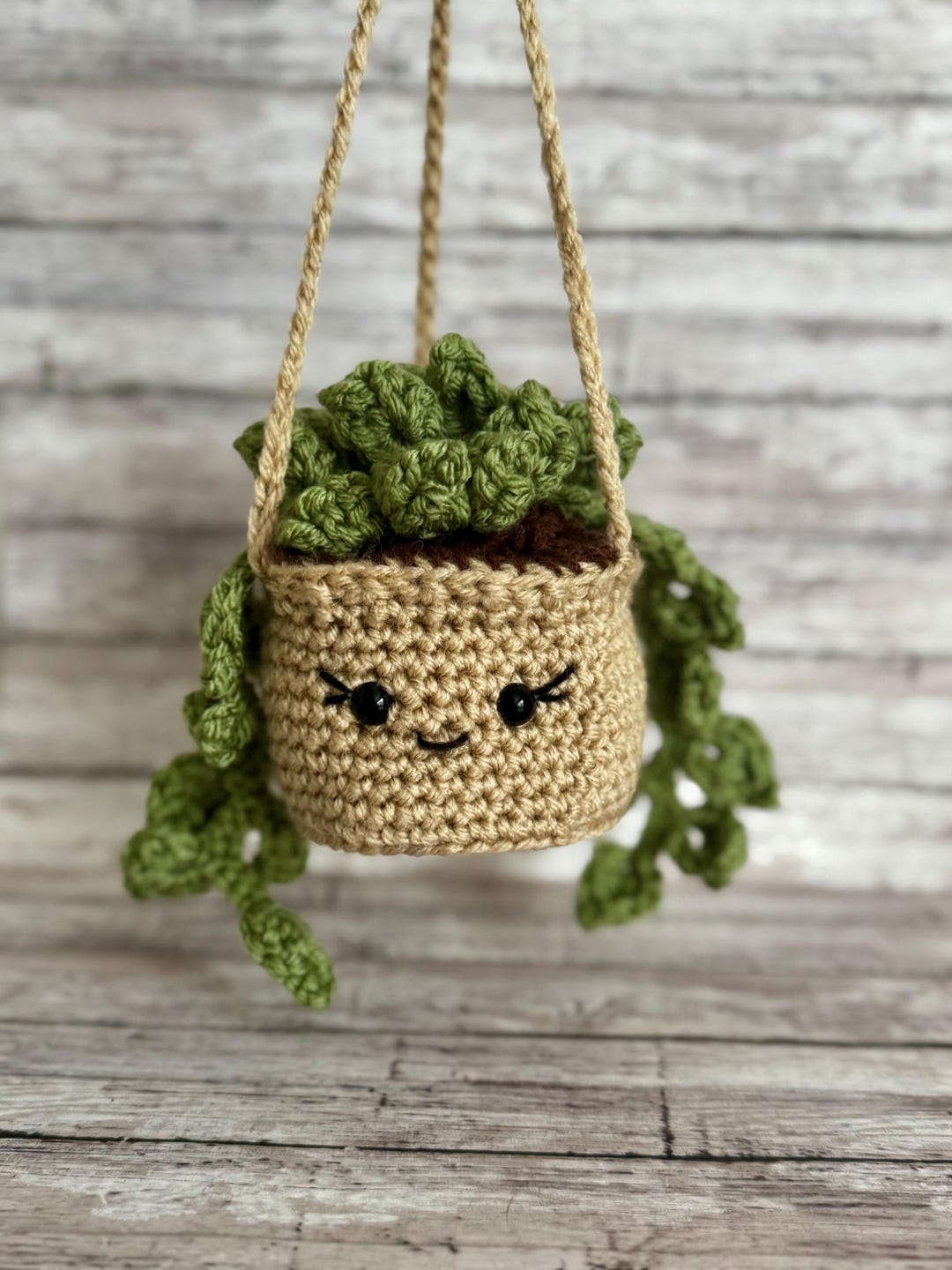 Crochet Hanging Pathos Plant - Etsy