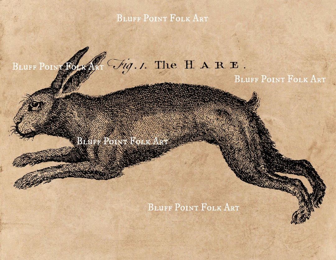 The Hare Digital Download - Etsy