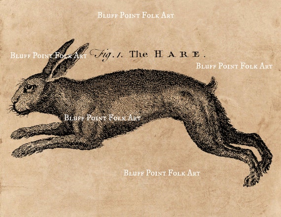 The Hare Digital Download | Etsy