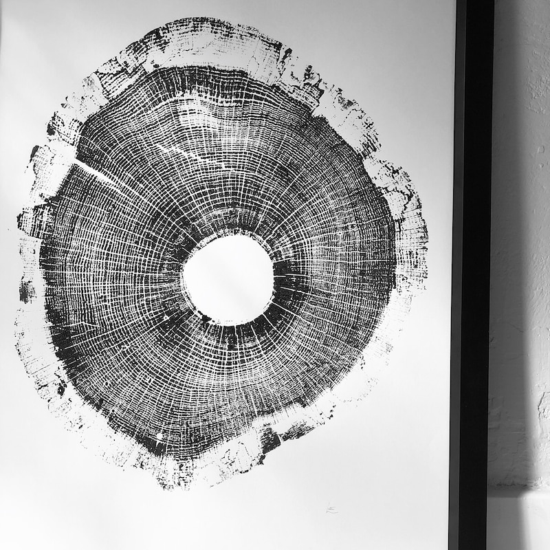 Tree Ring Print - Etsy