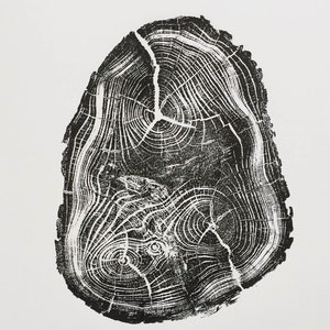 Locust Tree, Tree Anatomy, Botanical Tree Print, Real Tree Stump Art ...