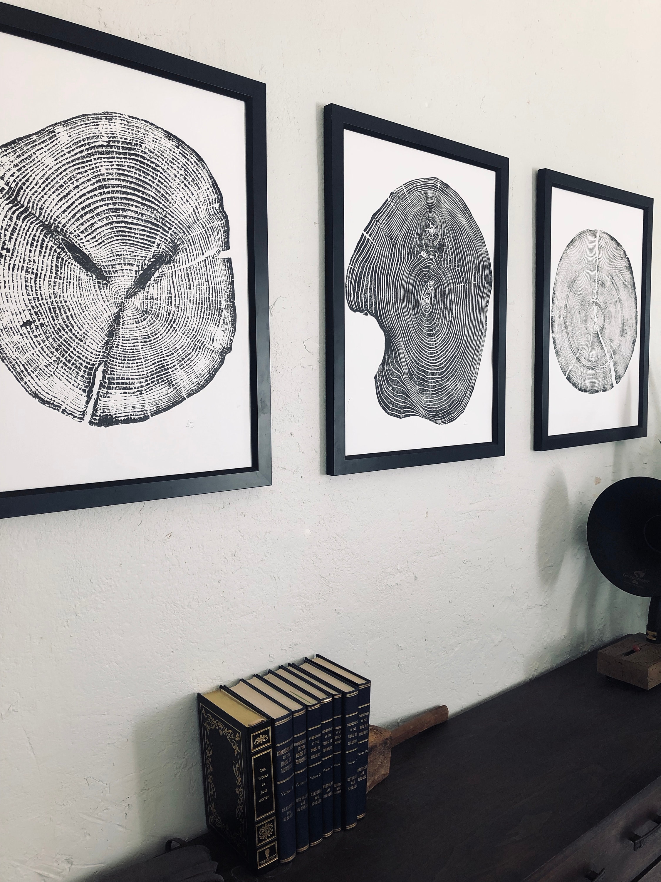 Set of 3 tree ring prints, Triptych Wall Art, Large Tree Rings, Pine ...