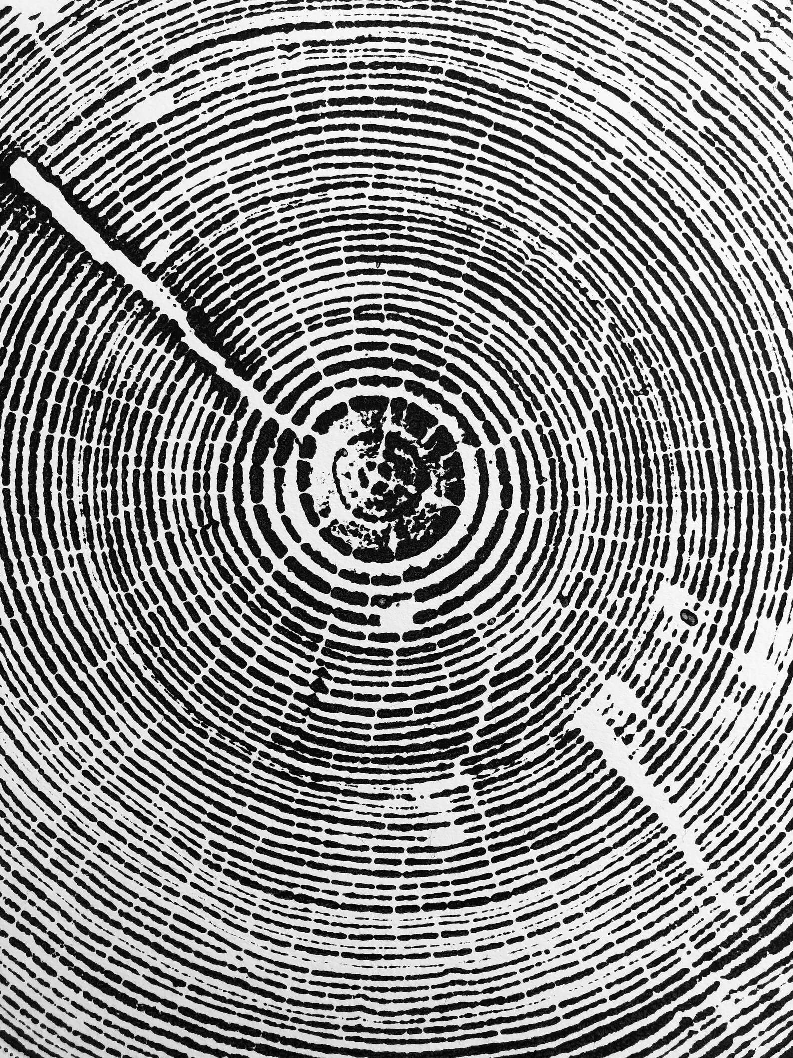 Alabama Tree Ring Print Alabama Art Print Made by Hand From | Etsy