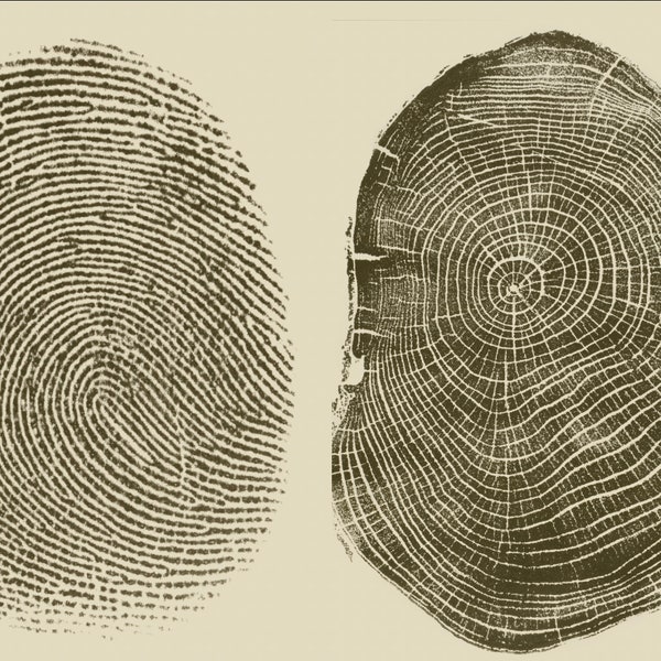 Fingerprint Tree - Etsy