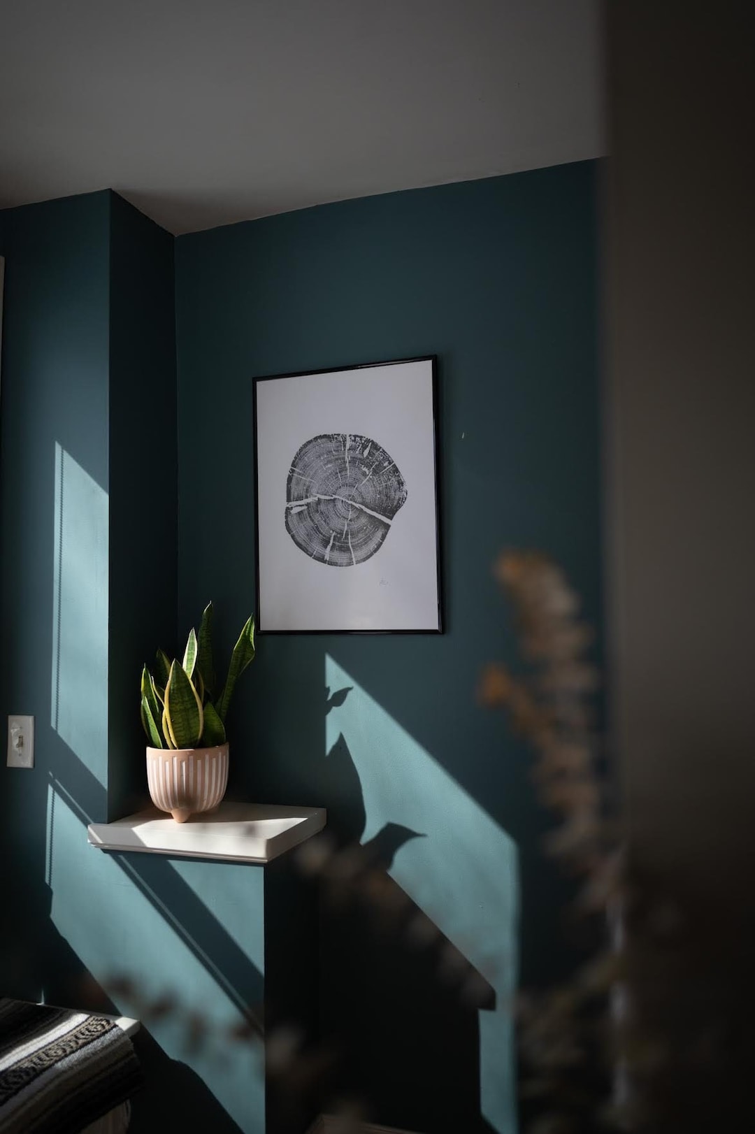 Grand Tetons Print, Tree Ring Art, Woodcut, Pine Tree Art Print ...