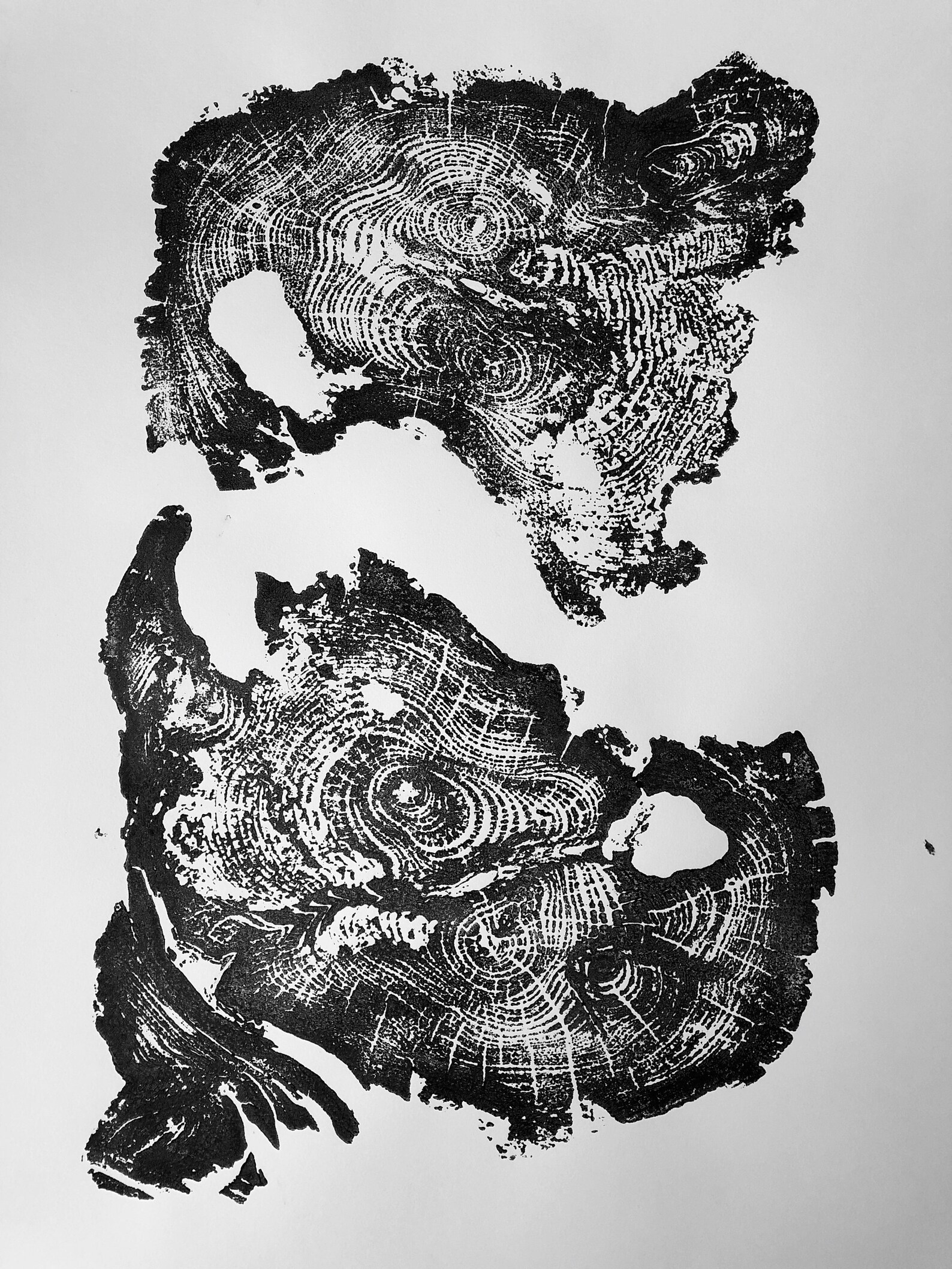 Lake Superior Michigan Tree Ring Print Ying Yang Tree Rings - Etsy