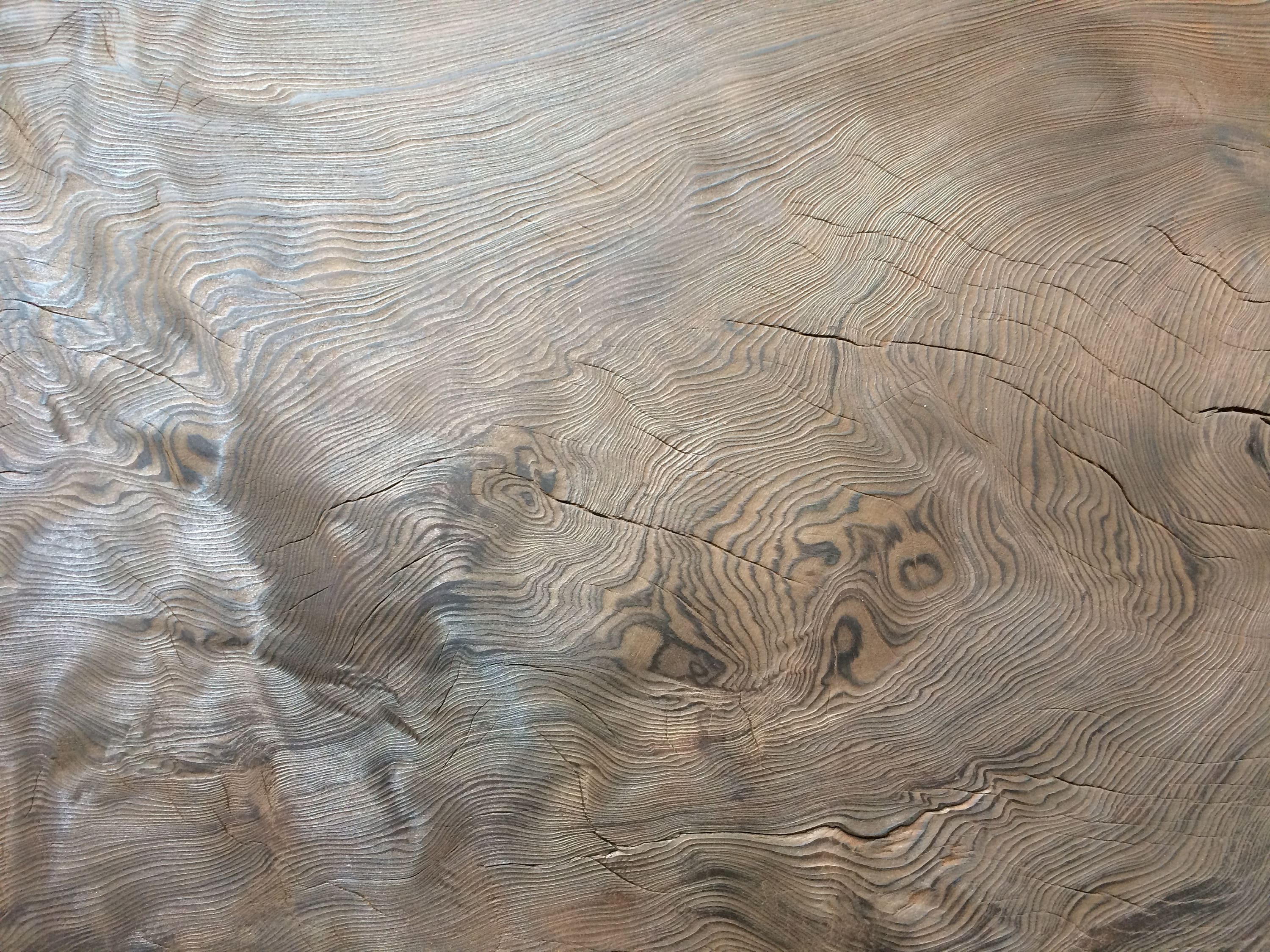 Giant Redwood Tree Rings 3x6 Feet Tree Ring Print Huge Wall - Etsy Israel