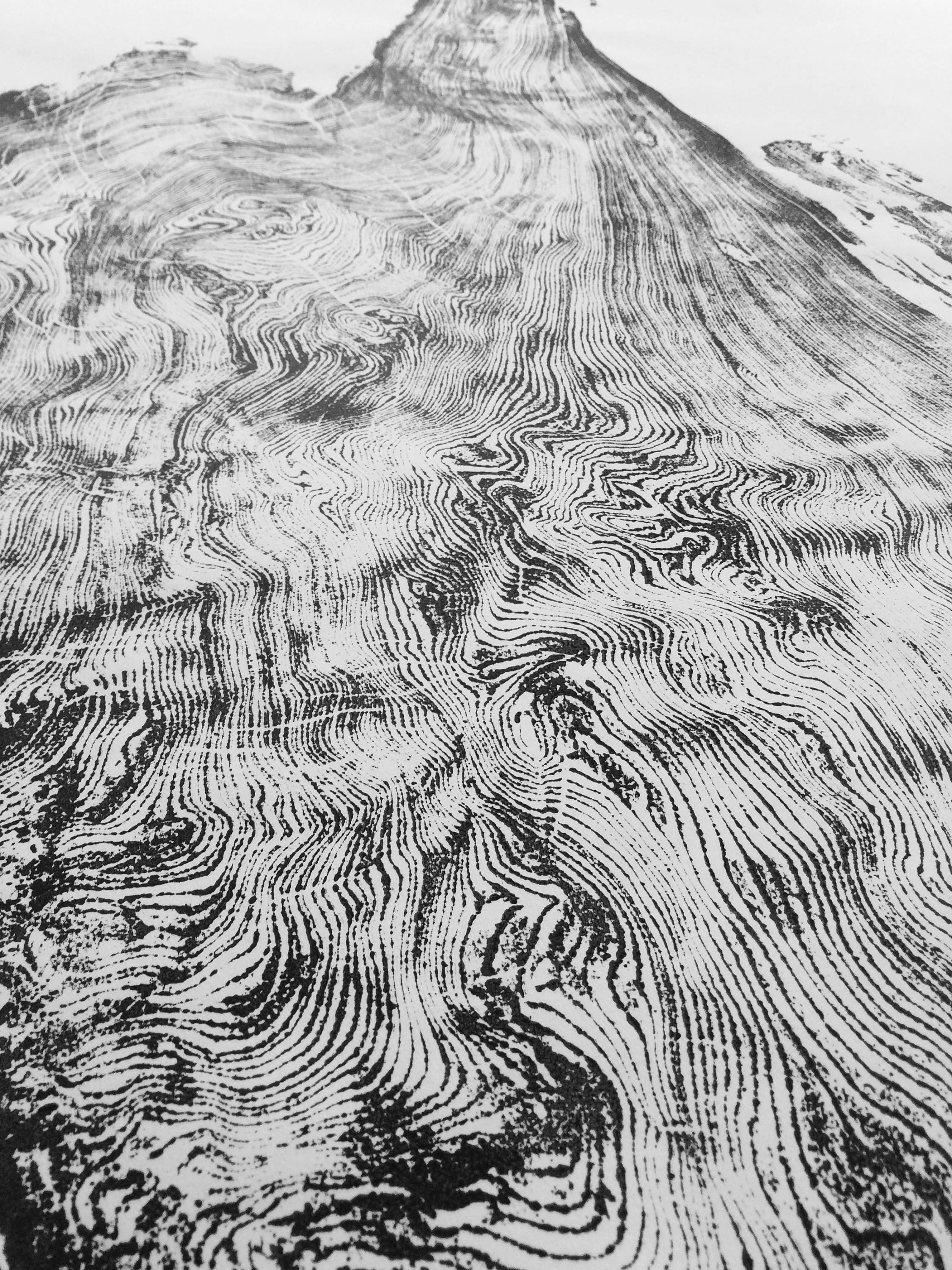 Giant Redwood Tree Rings 3x6 Feet Tree Ring Print Huge Wall - Etsy Israel