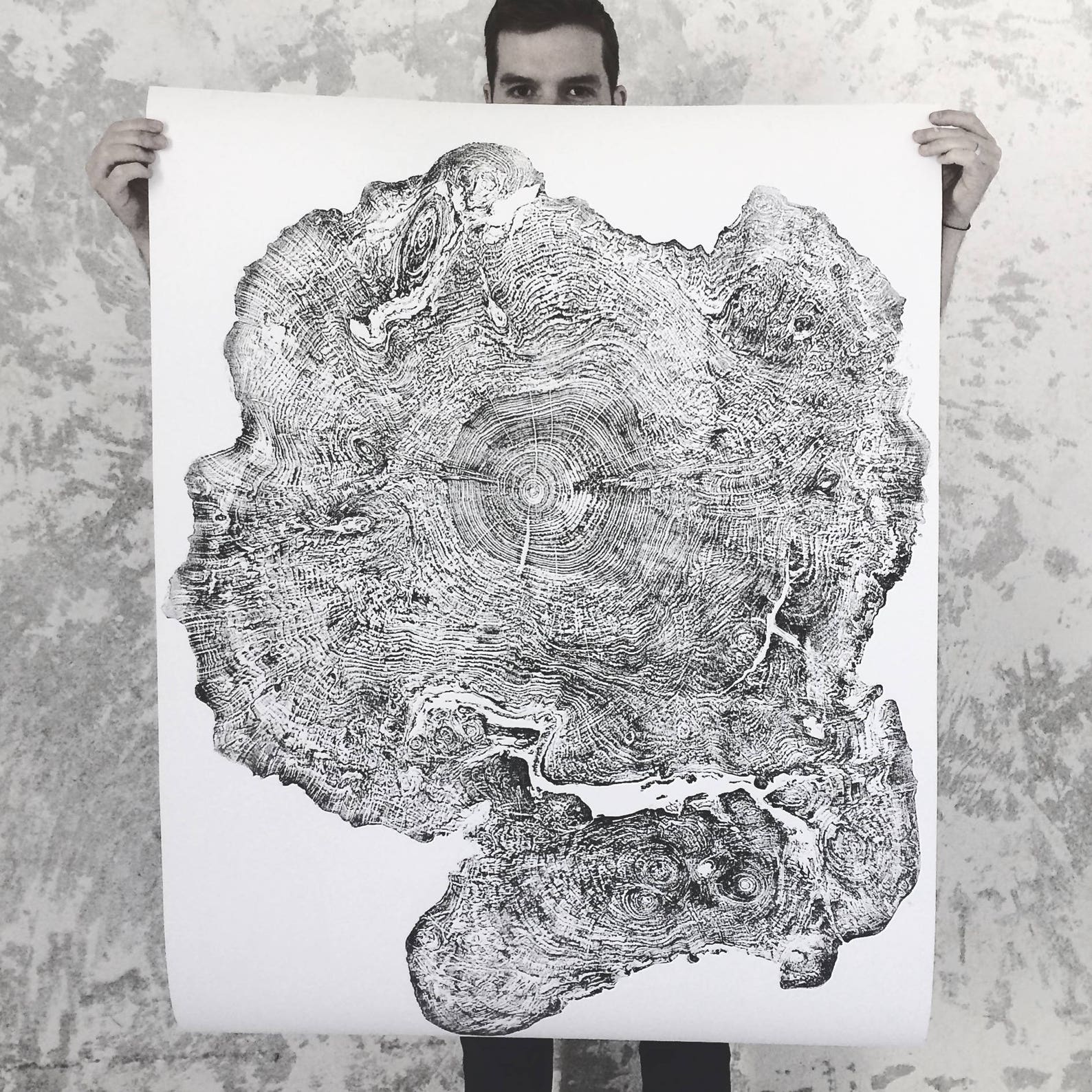 Big Leaf Maple Tree Ring Print Massachusetts Art Oversized | Etsy