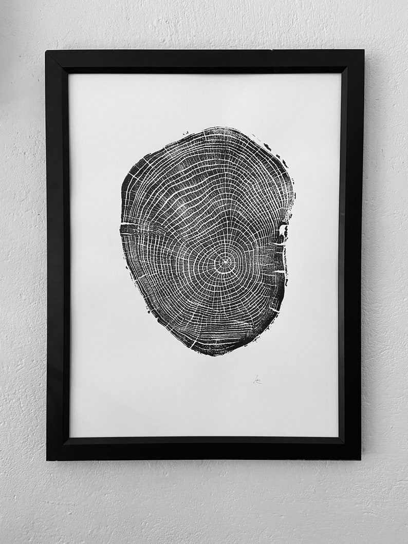 Connecticut Ash Tree Ring Print Tree Print New Haven Yale | Etsy