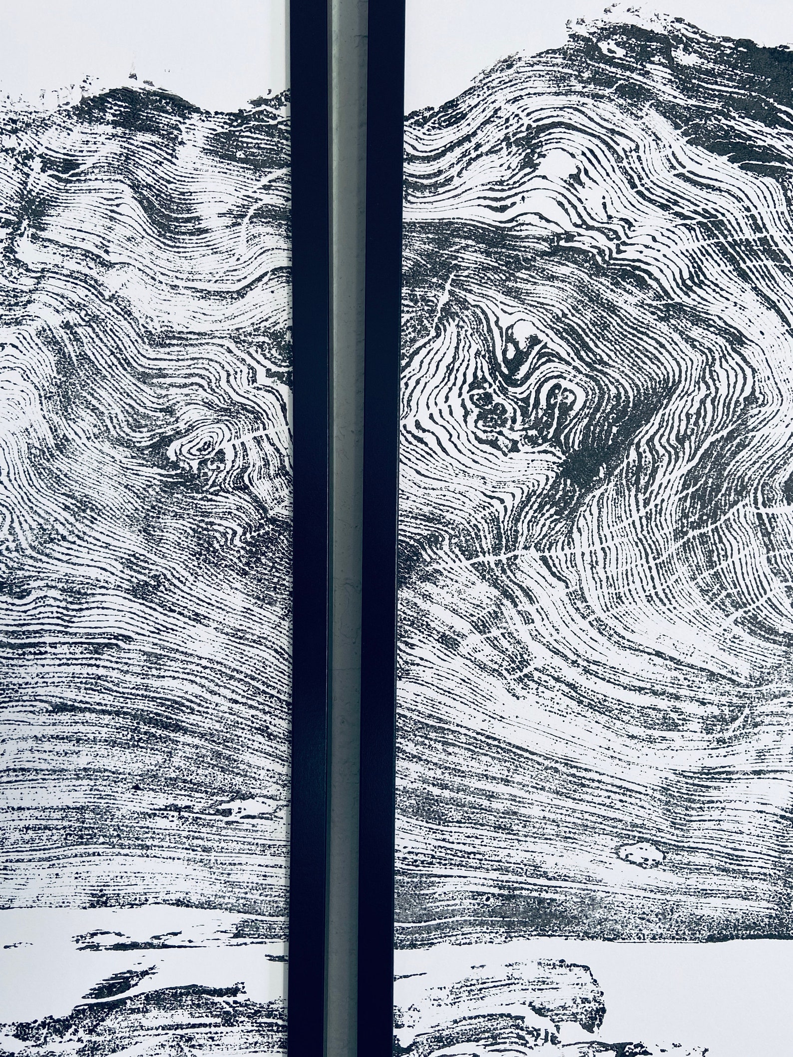 Giant Redwood Tree Ring Art Print Made From a Real Redwood | Etsy