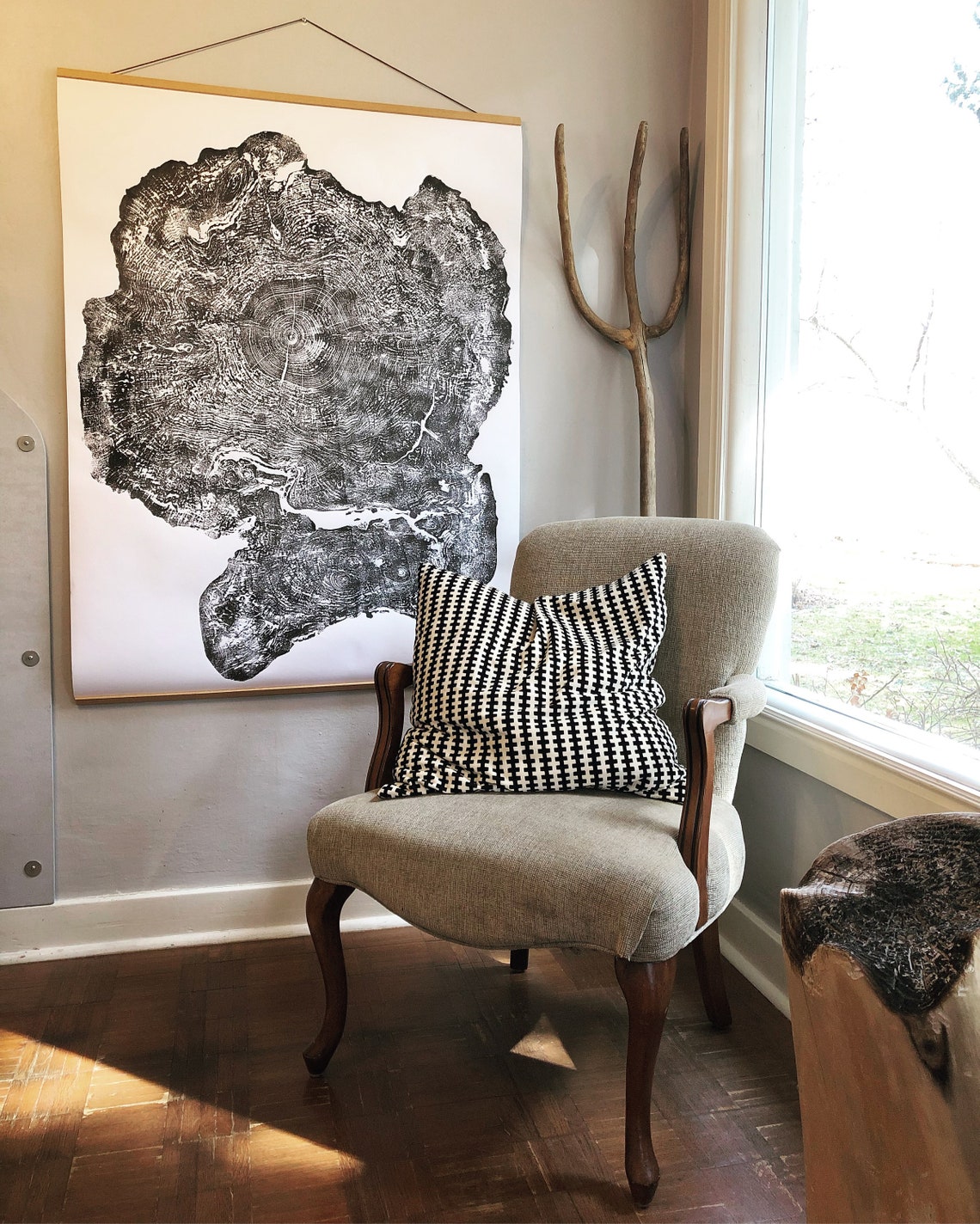 Big Leaf Maple Tree Ring Print Massachusetts Art Oversized - Etsy
