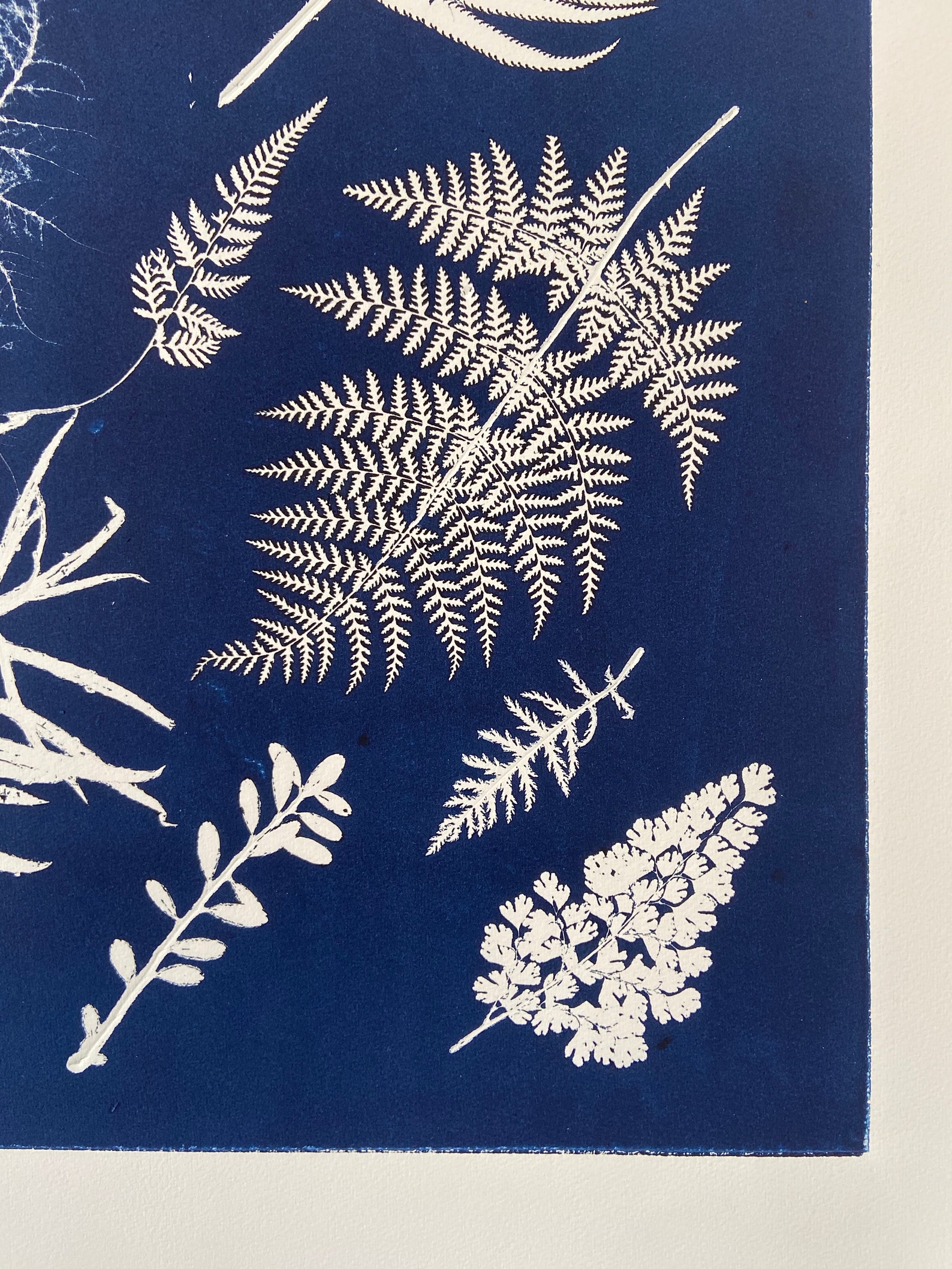Blue Ferns Wall Art Hand Pressed Botanicals From Ferns and - Etsy