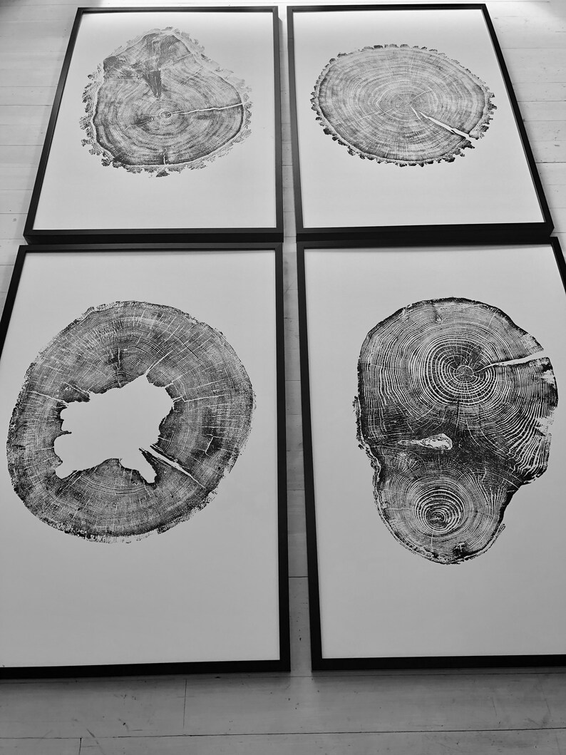 Tree Stump Art Prints Set of Four Large 24x36 Inch Tree Ring | Etsy