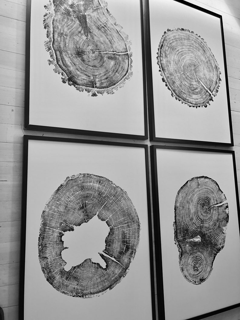 Tree Stump Art Prints Set of Four Large 24x36 Inch Tree Ring | Etsy