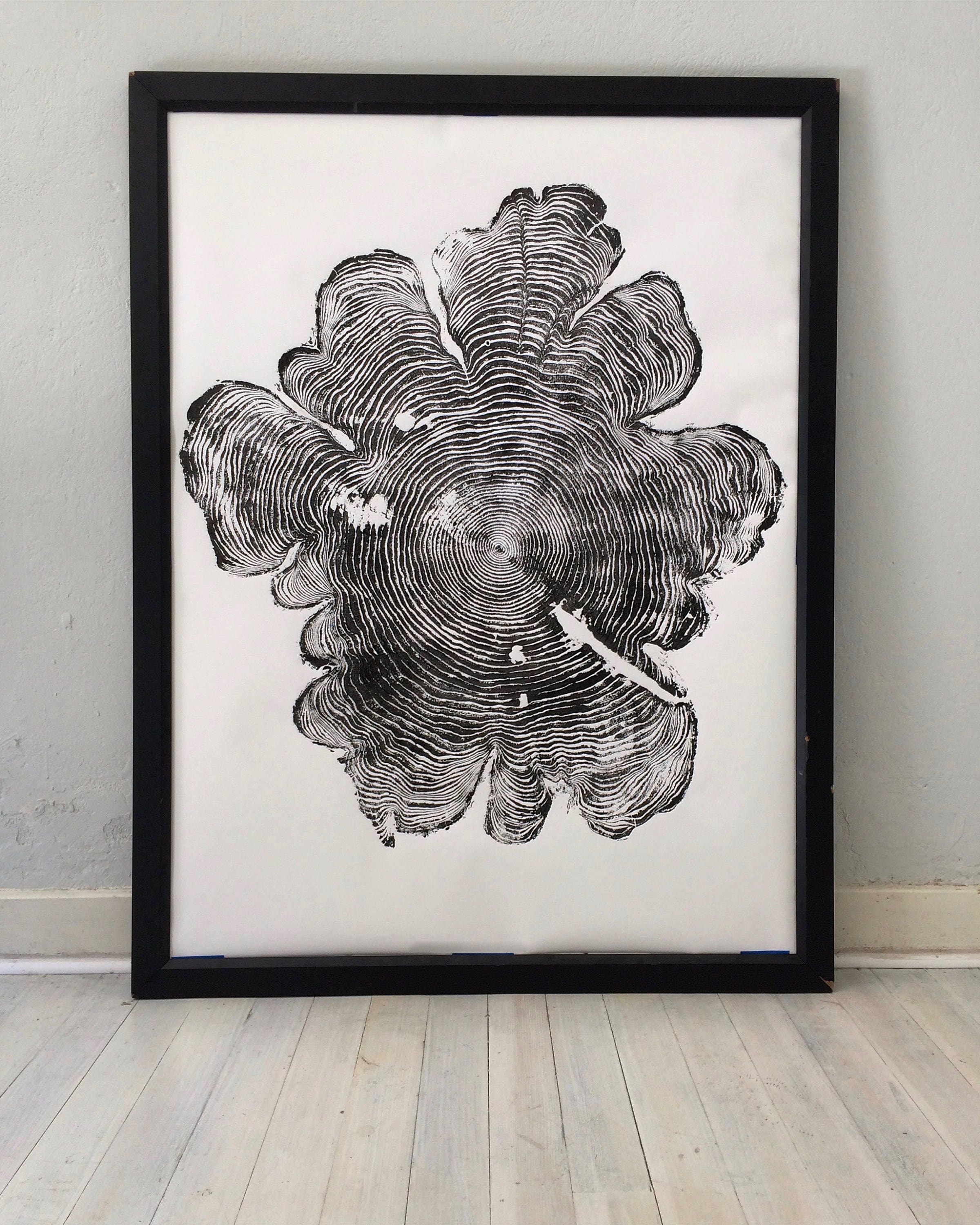 Western Red Cedar tree ring art, Huge Tree ring print, Woodcut, Oregon ...