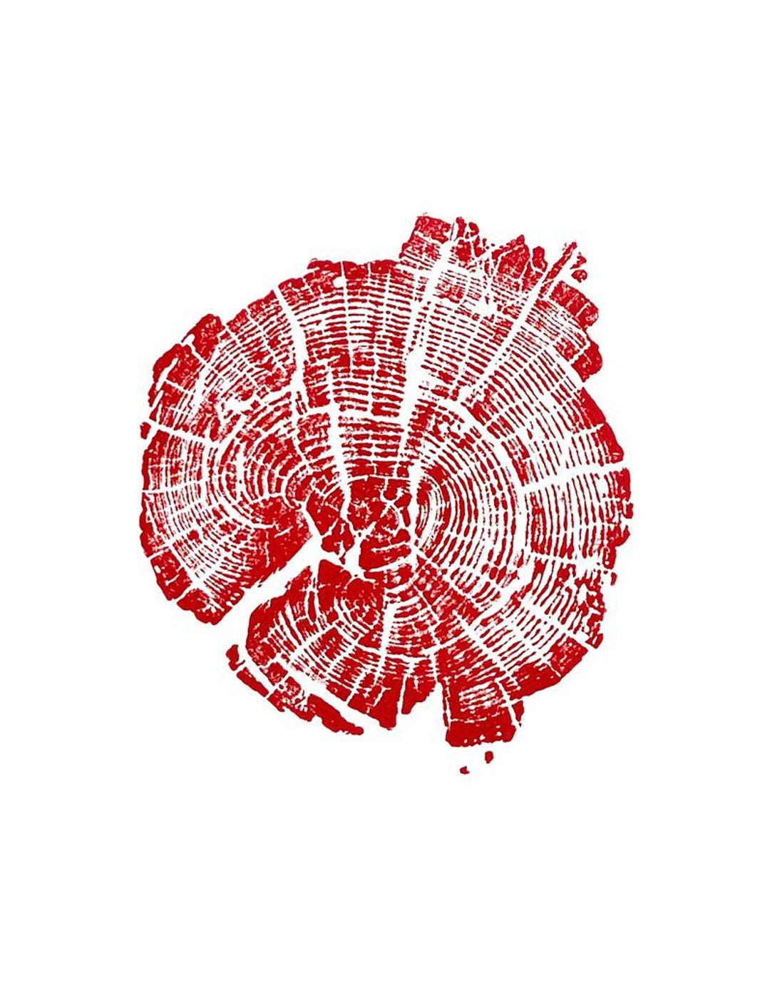 Yellowstone National Park, Tree Rings Print, Wyoming Art, Wood Slice ...