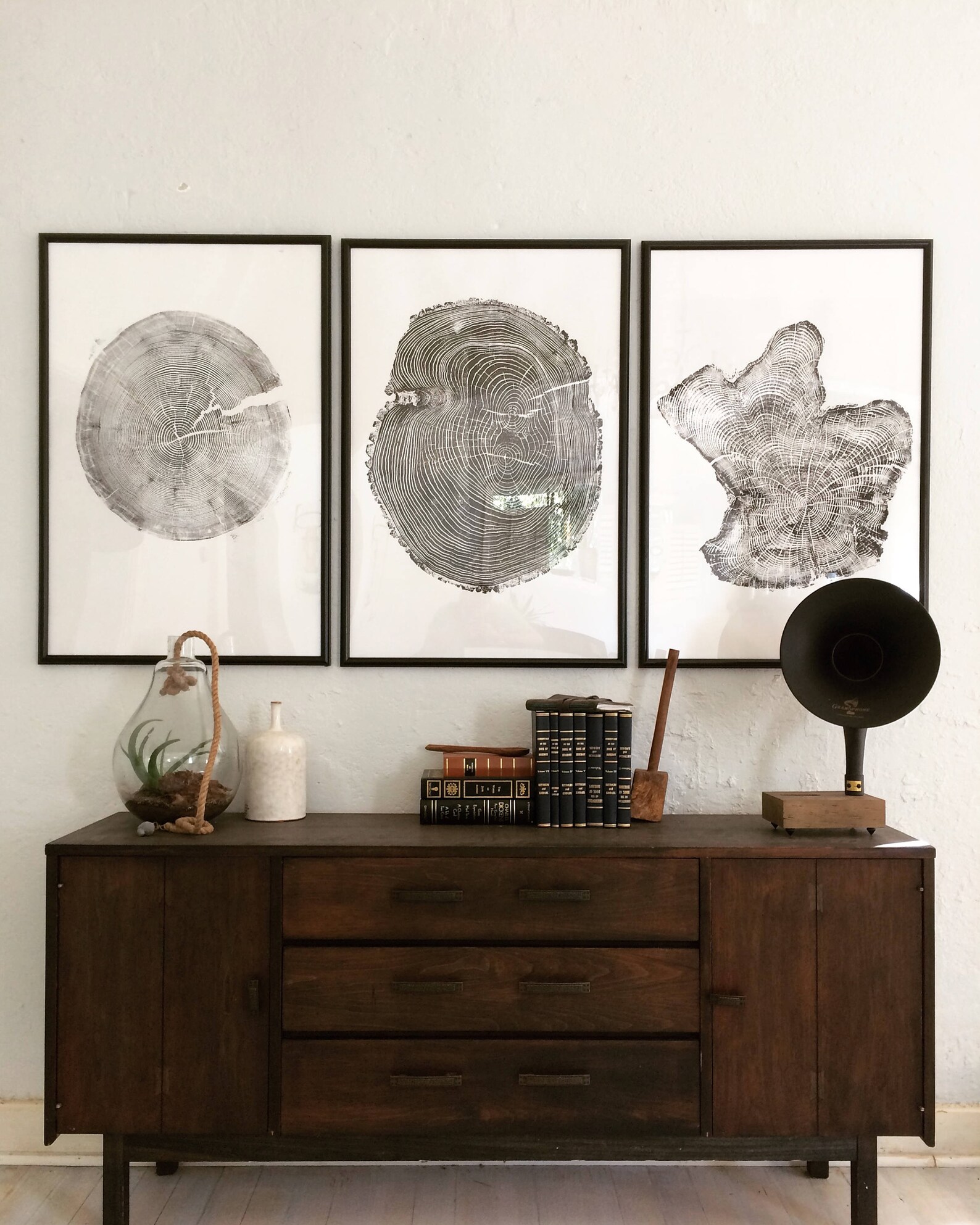 Ohio State, Ash Tree, Tree Ring Print, Woodcut Print, Lumber, Live Edge ...