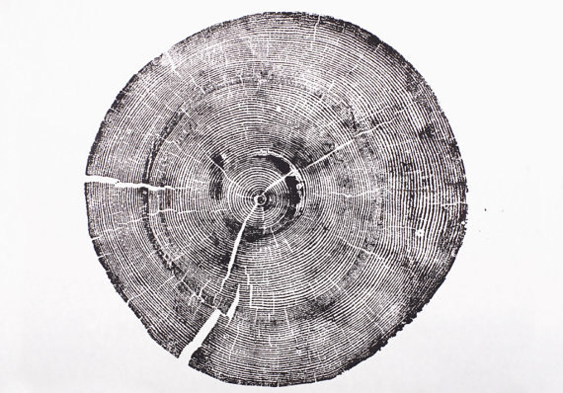 Set of 3 Tree Ring Prints Triptych Wall Art Large Tree | Etsy UK