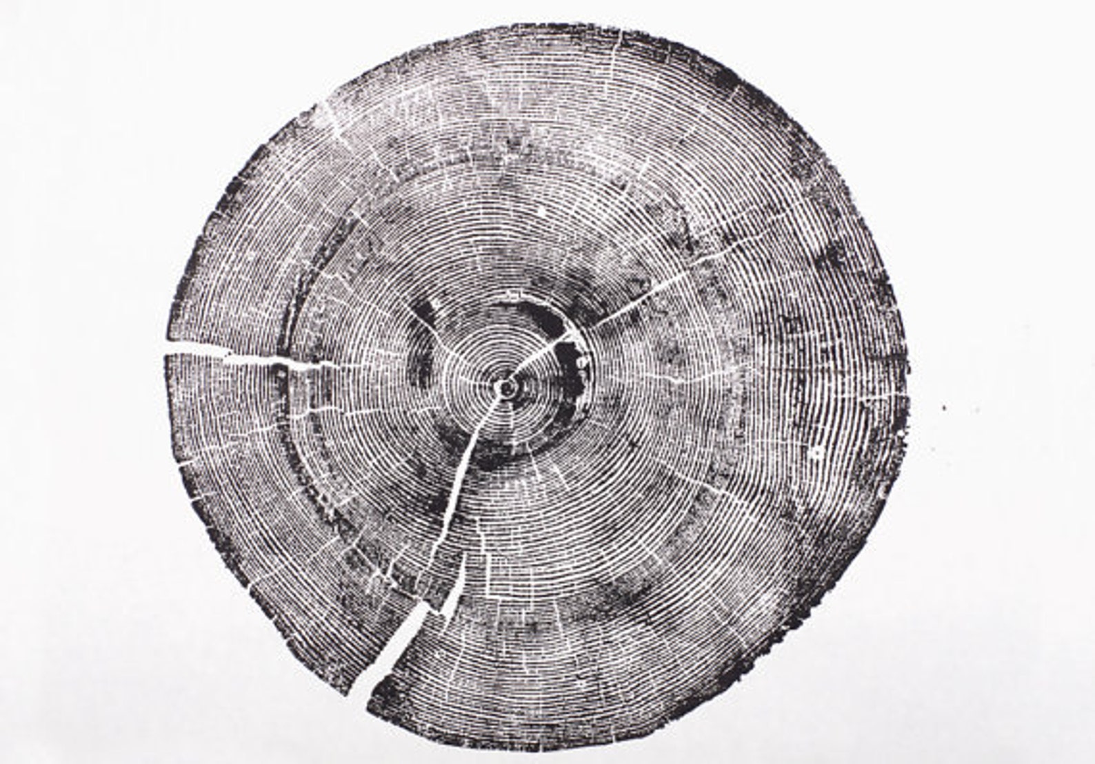 Set of 3 Tree Ring Prints Triptych Wall Art Large Tree - Etsy UK