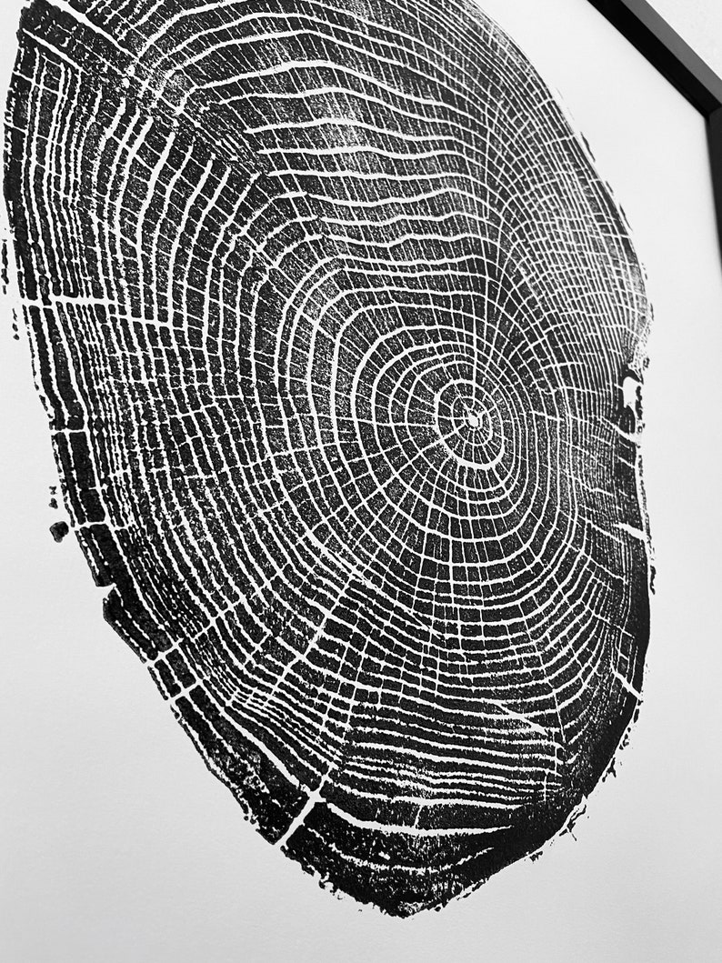 Connecticut Ash Tree Ring Print Tree Print New Haven Yale | Etsy
