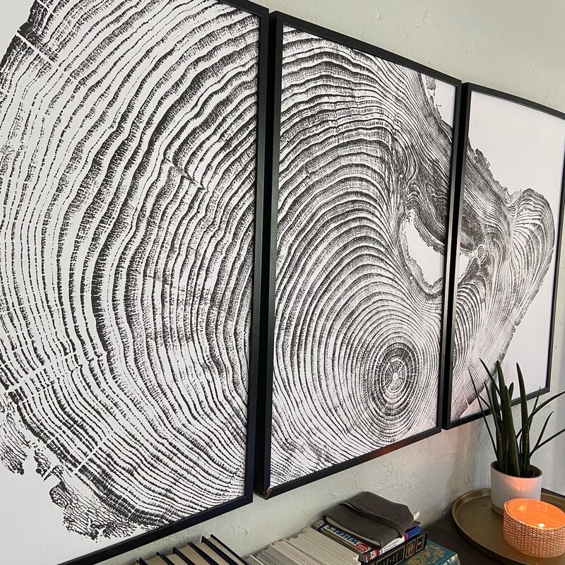 Tree Ring Art - Etsy