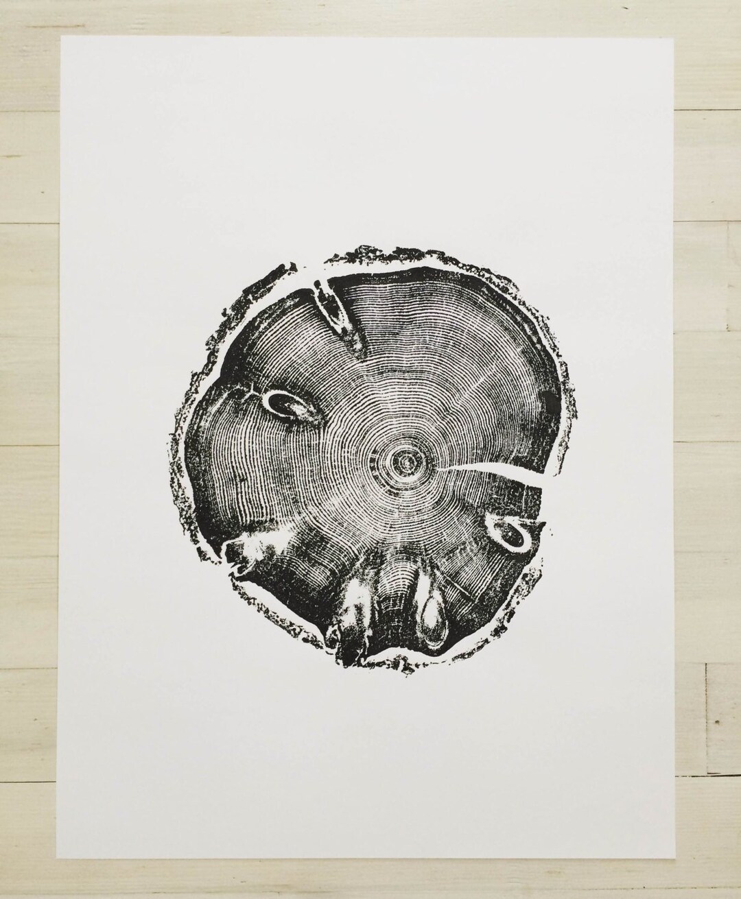 Pine Tree Art, Tree Ring Art Print, Nature Inspired Art, Tree Stump Art ...