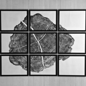 Tree Ring Prints, Set of 9 Prints, Log Ring Art, Gallery Wall Art ...