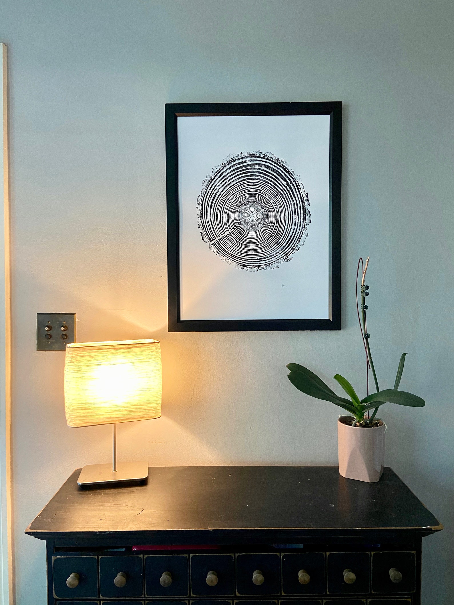 Georgia Pine, Tree Ring Print, Tree Stump Art, Griffin Georgia, Alpine ...